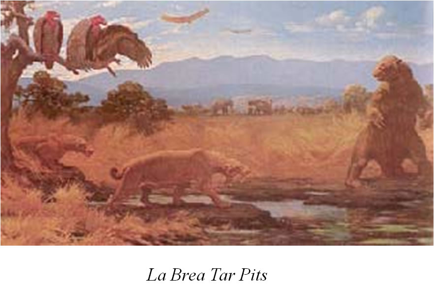 Paulina Borsook Aesclepion