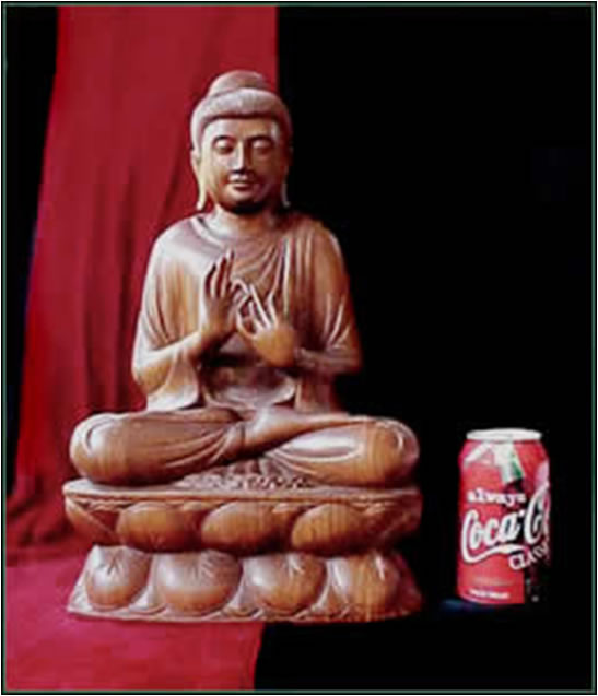 Paulina Borsook Aesclepion