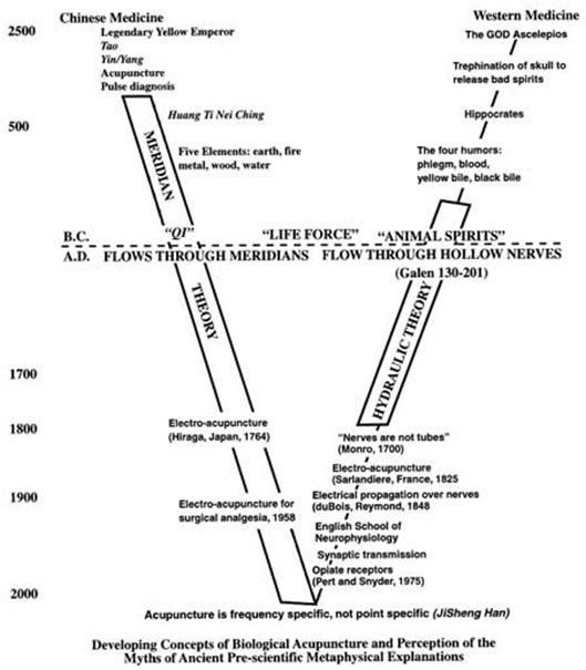 Paulina Borsook Aesclepion