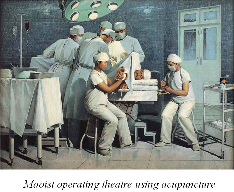 Paulina Borsook Aesclepion