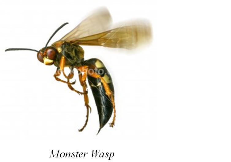 Paulina Borsook Aesclepion