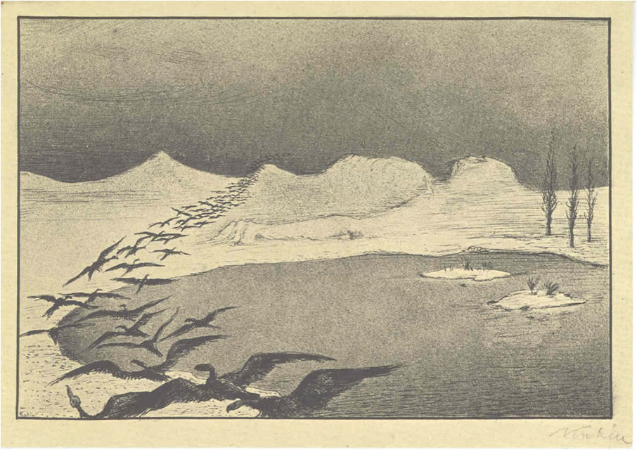 Paulina Borsook Aesclepion