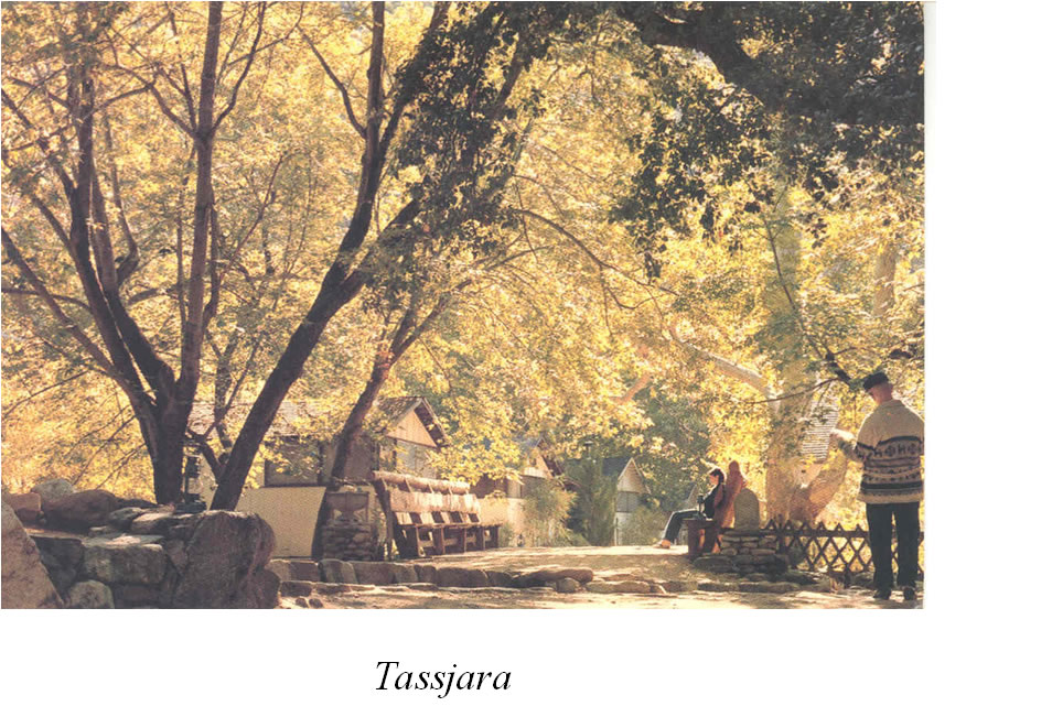 Paulina Borsook Aesclepion