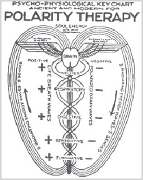 Paulina Borsook Aesclepion