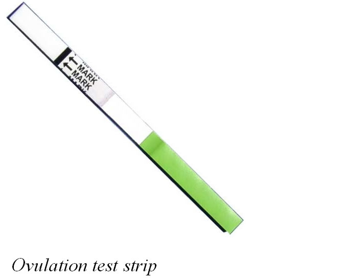 Paulina Borsook Aesclepion