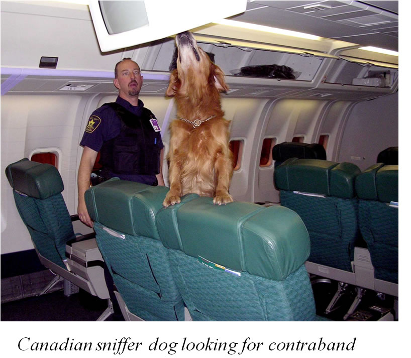 Paulina Borsook Aesclepion